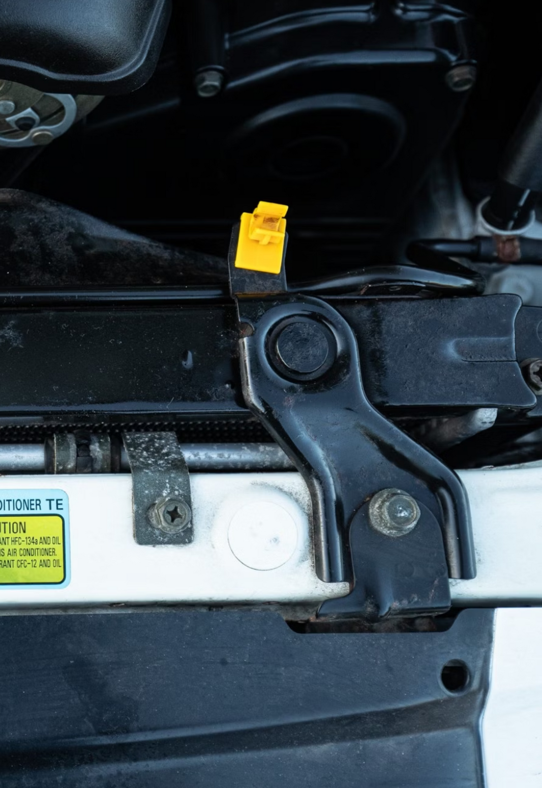 Body parts – Page 2 – GC8 DOC